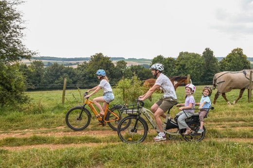 Review Equo 5 Adventure: A Cargo Bike – Dutch Cargo (AU)