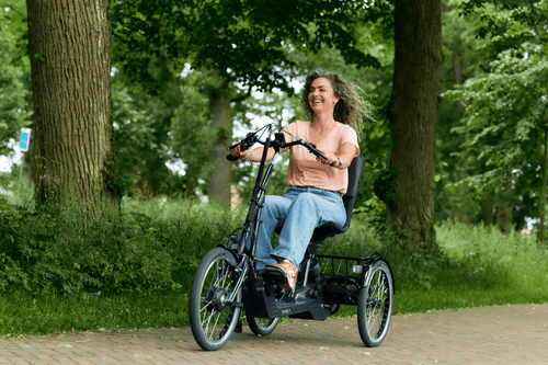 Electric Trikes & Electric Tricycles – Dutch Cargo (AU)