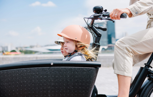 Dutch Cargo Bike – Dutch Cargo (AU)