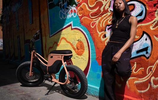 Ruff Cycles: German-Engineered Electric Bikes – Dutch Cargo (AU)